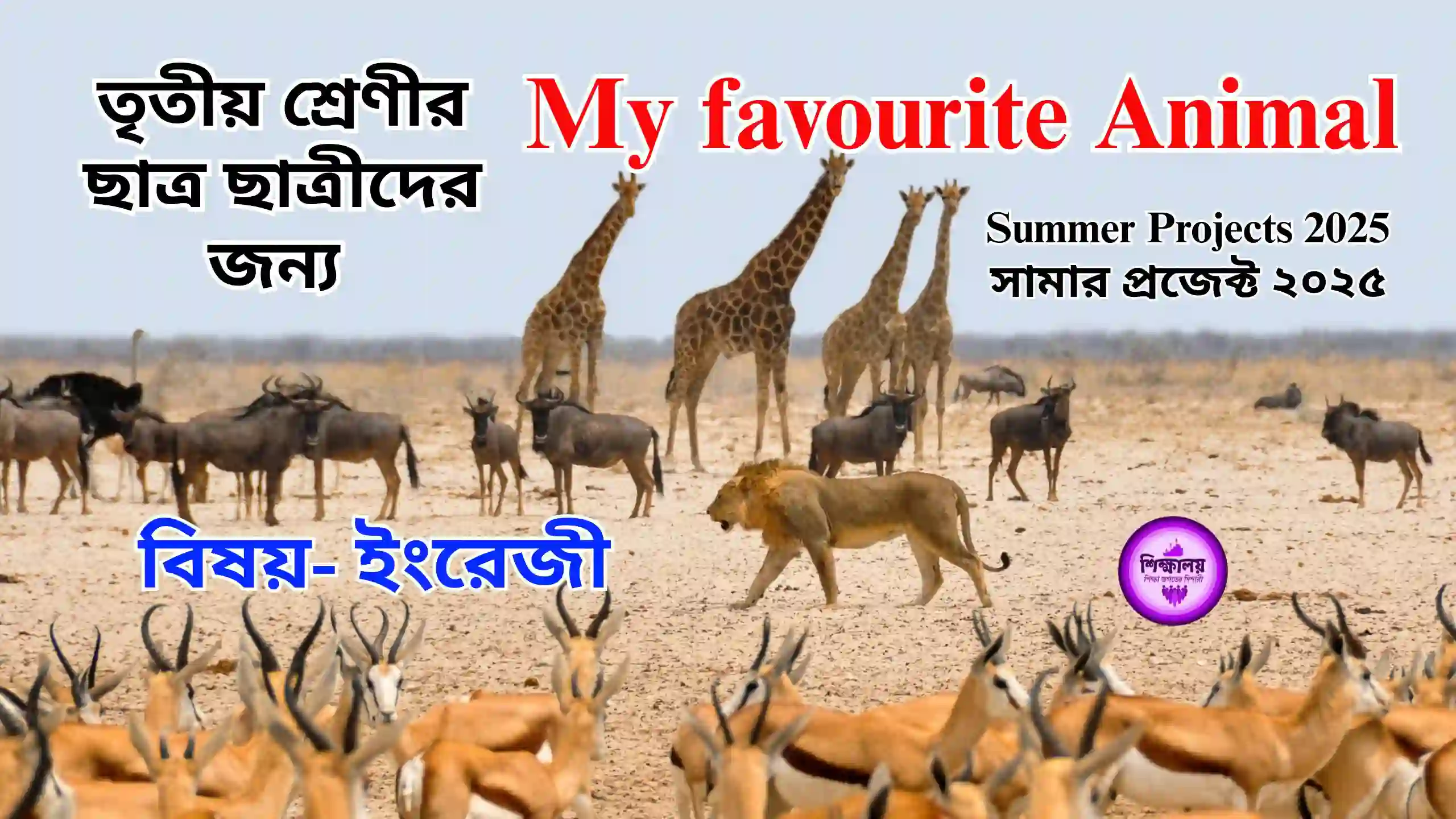 সামার প্রজেক্ট ২০২৫: My favourite Animal
